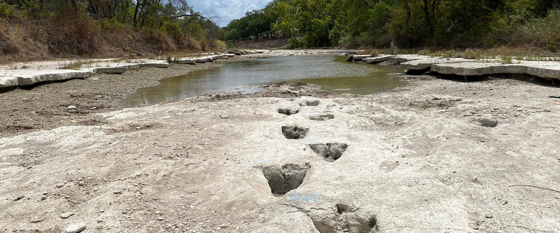 Exploring the Past: Uncovering Fascinating Artifacts in Harris County